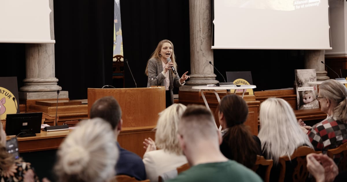 Fra udlændingevalg til svinevalg: Sådan brugte Zenia Stampe ...