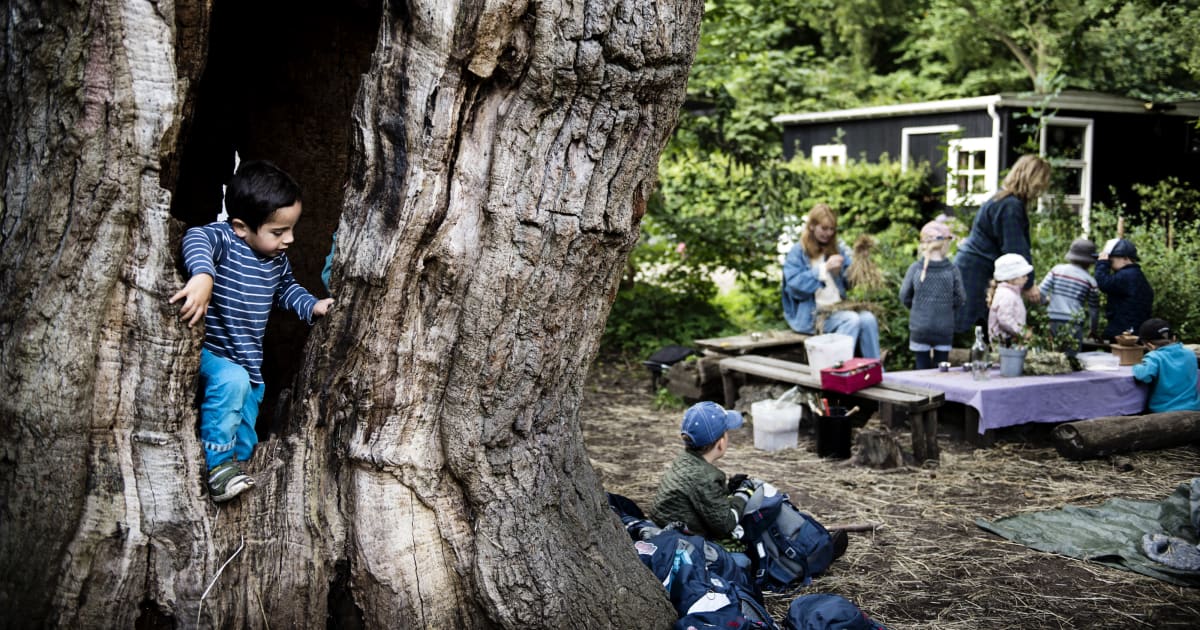 Mange børn har det altså ret coronaluksus i vuggestuen | Information