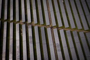 Skribent: Helga Grønnegaard | Information