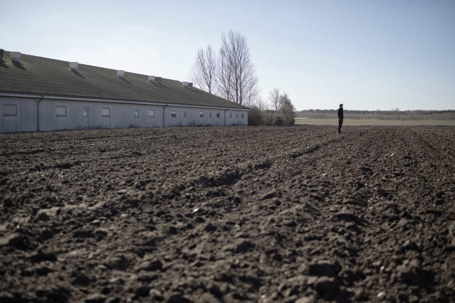 Holbæks borgmester: Ny lov om svinefabrikker kører kommuner ud på sidespor | Information