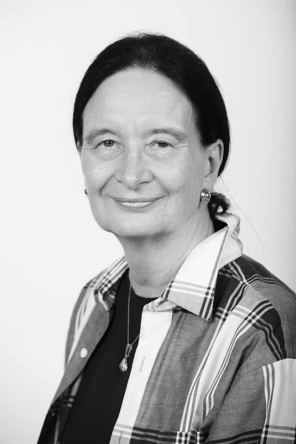 Filosoffen Susan Haacks monumentale indsats for at forstå evidens ...