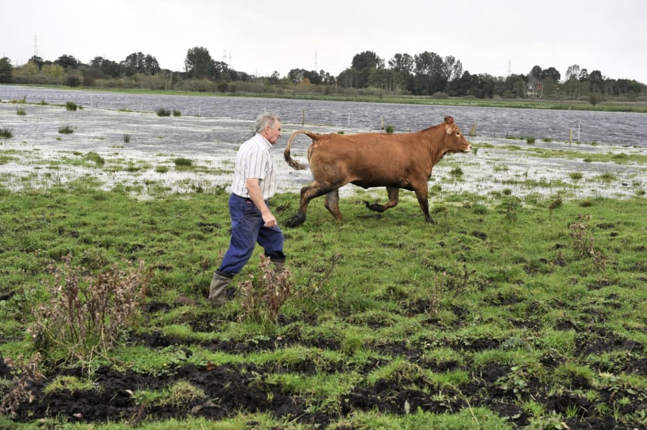 EU: Dansk landbrugspakke kan være i strid med EU-love | Information
